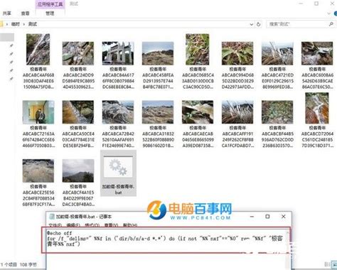 计算机怎么快速改图片名称如何批量修改文件名？批量修改照片文件名和添加前缀方法 Csdn博客