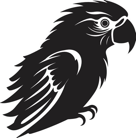 Vectorizing The Exotic Parrots In The Limelight Parrot Vector