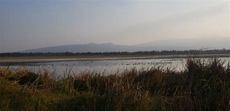chilango Lagunas de Xico atractivo turístico y ecológico en abandono