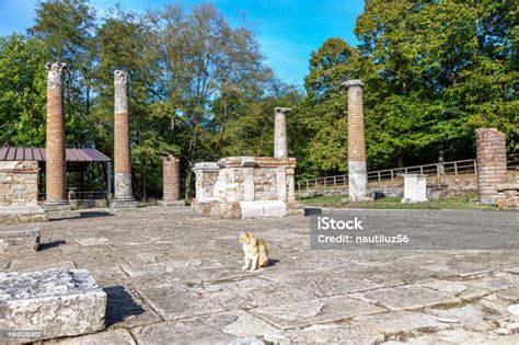 이탈리아 고고학 유적지에 기둥이있는 고대 로마 도시의 유적 0명에 대한 스톡 사진 및 기타 이미지 0명 건물 외관 건설 프레임 Istock