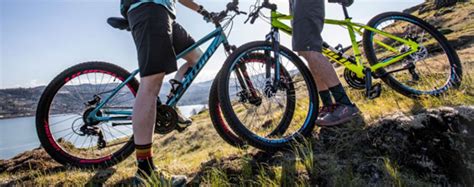 Schwinn Bikes Review — Good Quality At An Affordable Price Point
