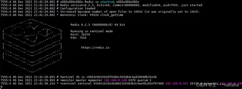 Redis哨兵模式出现的问题总结 Csdn博客