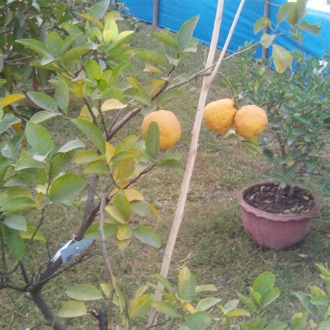 Advanceexcel Lesson Youtube