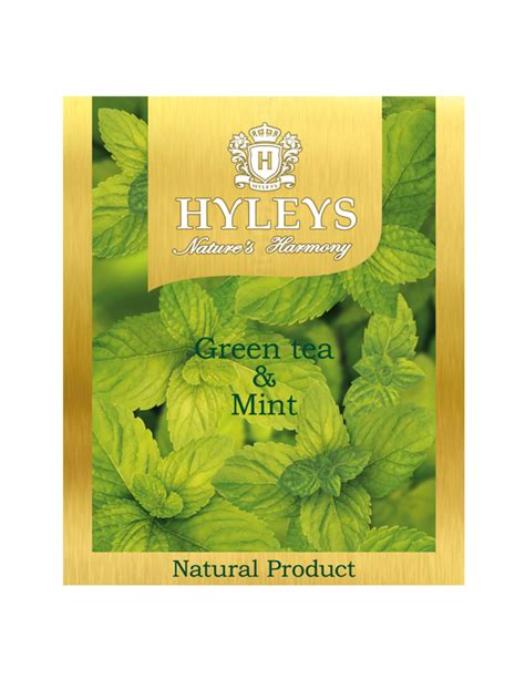 Green Tea With Mint 25 Foil Envelope Tea Bags Regency Teas Pvt Ltd
