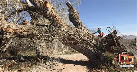 Wind Wreaks Havoc Across Utah Photo Gallery Local News