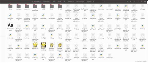 Miniconda环境下安装pygamepygame国内镜像 Csdn博客