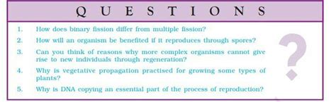 Uest1 How Does Binary Fission Differ From Multiple Fission Filo