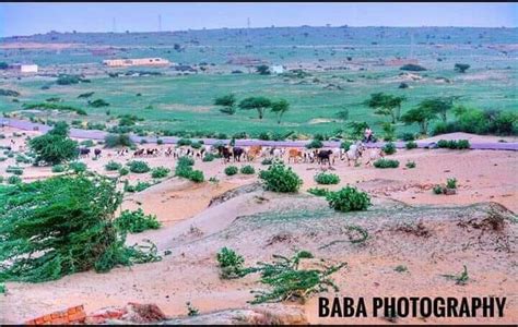 Mithi Tharparkar