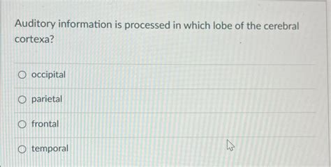 Solved Auditory Information Is Processed In Which Lobe Of Chegg