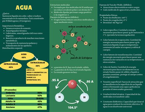 AGUA Generalidades bioquímicas de agua AGUA INTRACELULAR EXTRACELULAR LINFA