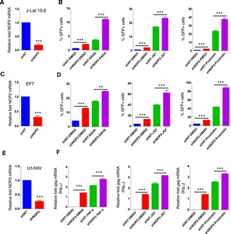 Knockdown Of Nop2 Benefits Hiv 1 Reactivation In Multiple Latency Cell
