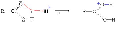 Esterification Meaning Definition Examples Uses Faqs