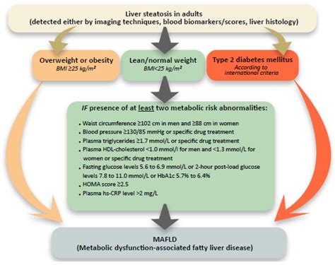 Ultrasound Elastography—cornerstone Of Non Invasive Metabolic Dysfunction Associated Fatty Liver