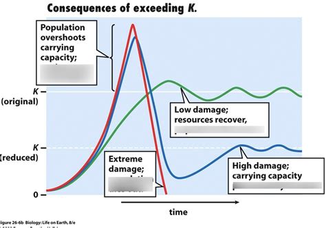 consequences of exceeding k diagram quizlet