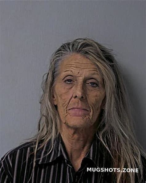 Cook Lori Jo 11 21 2024 Logan County Mugshots Zone