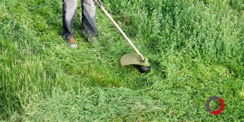 Reasons Your RYOBI String Trimmer Won T Start SOLVED Powered Outdoors