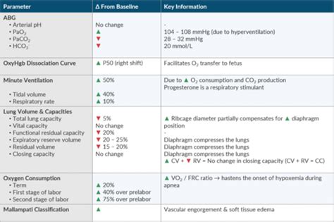 Apex Obstetrics Flashcards Quizlet