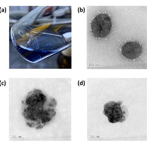 Figure S3 A Diluted Pedotpss Solution And Tem Image Of B Pristine