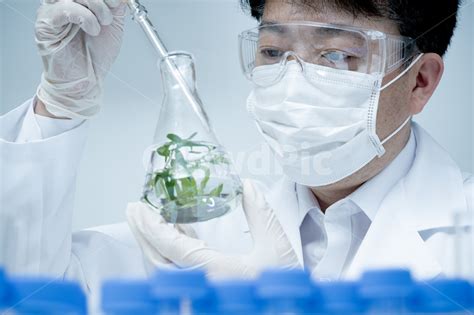 과학 의료 과학자 식물학 식물 사진이미지일러스트캘리그라피 재로미작가