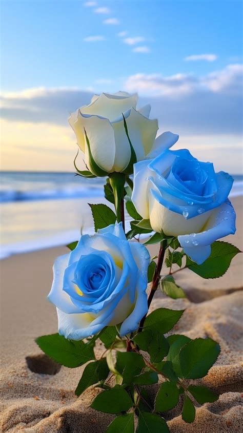 500 Ideas De Hermosos Paisajes Con Rosas