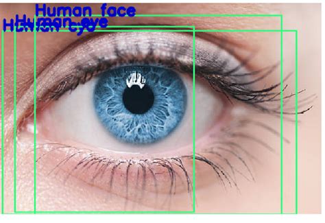 Building An Object Detector In A Few Steps By Surajit Saikia