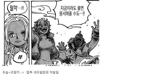 스포 원피스 최신화에서 밝혀진 내용들