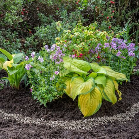 Growing Success Organic Slug Barrier Pellets And Copper Band Tape Qvc Uk