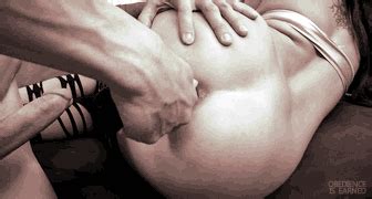 Insertion Archives Porn Giphy