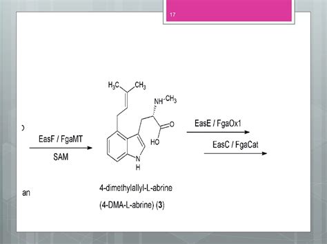 Ergot Alkaloids