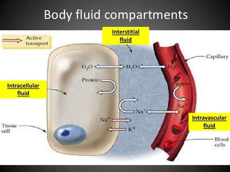 Dialysis Electrolytes