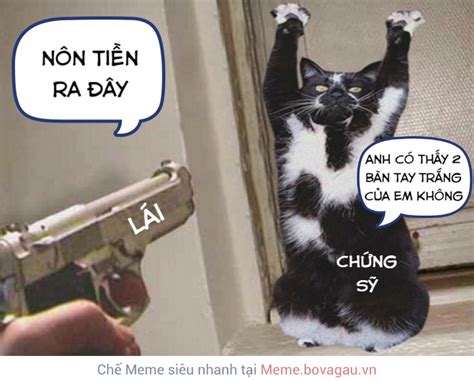 Tổng Hợp Meme Dí Súng Cực Hài Hước Dành Cho Nhà đầu Tư