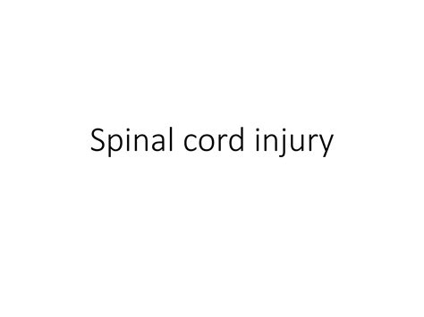 Spinal Cord Inj Ppt Copy Copypptxkokekeok Ppt