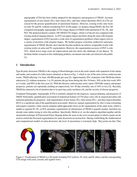 Imagetbad A 3d Computed Tomography Angiography Image Dataset For Automatic Segmentation Of Type