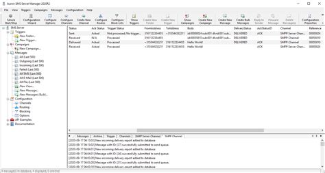 setup a secure smpp server auron software