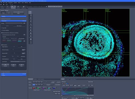 Grid Collection Stitching And CZI File ERROR Inconsistent Series