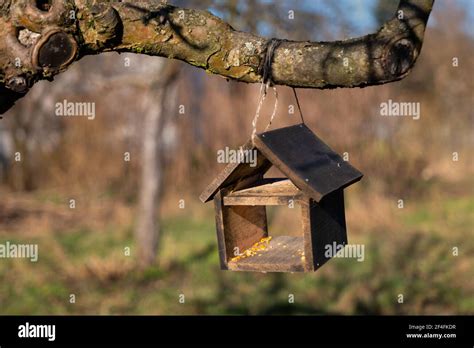 Wooden Bird Feeder Hanging On A Tree Branch Stock Photo Alamy