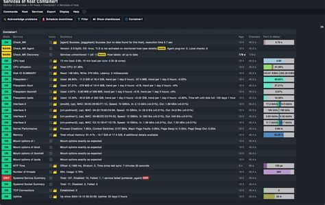 Issue Monitoring After Deploy On Docker General Checkmk Community