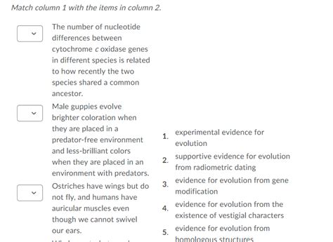 Solved Match Column 1 With The Items In Column 2 The Number