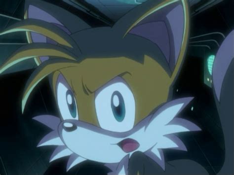 Daily Tails Pics Sonic X On Twitter Tails Will Do Everything To