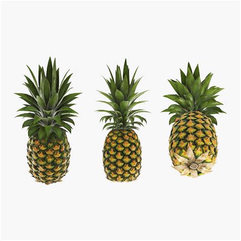Pineapple With Detailed Textures 3d Model Download Fruit On