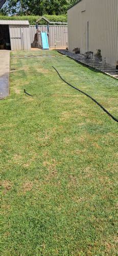 How To Fix My Lawn Bunnings Workshop Community