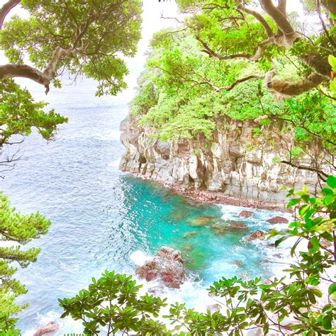 もえさんの投稿 城ヶ崎海岸 ｜ ことりっぷ