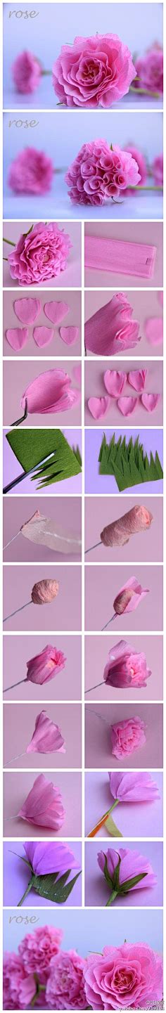 Diy
