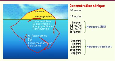 Dynamique Dexpression Des Protéines Sériques Lalbumine Et Les