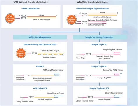 Single Cell Multi Omics Marrying Rna Seq To Protein Expression And