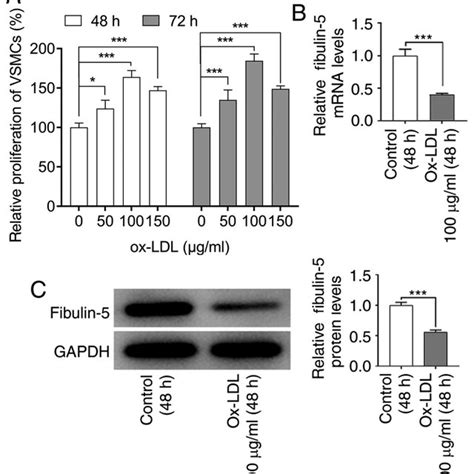 Ox Ldl Treatment Decreases The Expression Of Fibulin 5 In Ha Vsmc