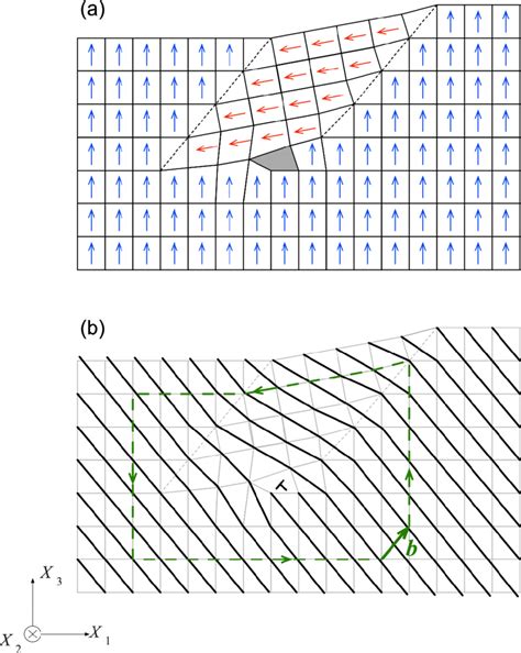Schematic Cross Sections Of An Isolated A Domain In A Continuous Download Scientific Diagram