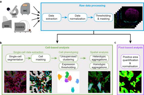 Schematics Of The SIMPLI Workflow Download Scientific Diagram