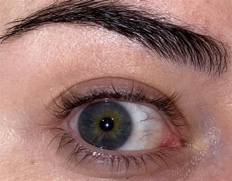 What Colour Are My Eyes Reyes