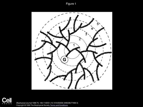 Volume 75 Issue 1 Pages July 1998 Ppt Download